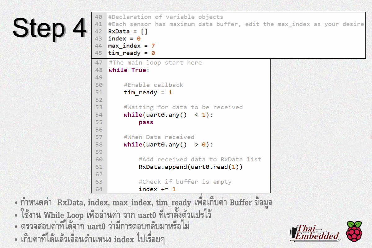 Soil NPK Sensor with Raspberry Pi Pico - TESR Shop